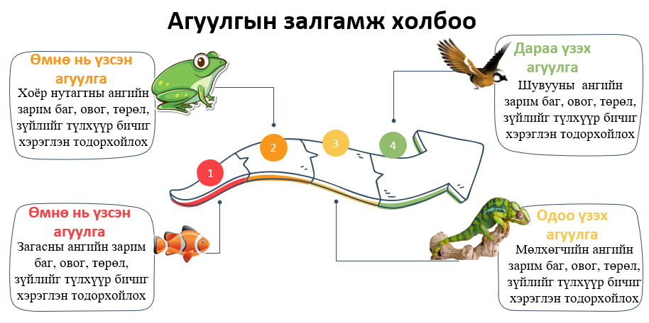 Мэдлээ Цахим контент